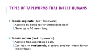 Tapeworm infestation for health sciences | PPTX
