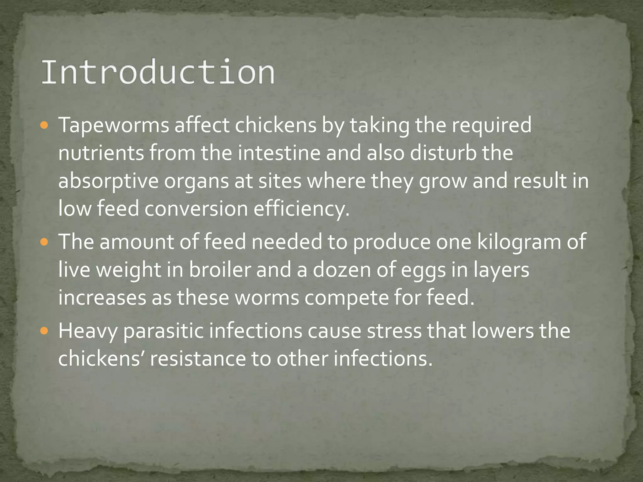 Tape worm of poultry | PPTX