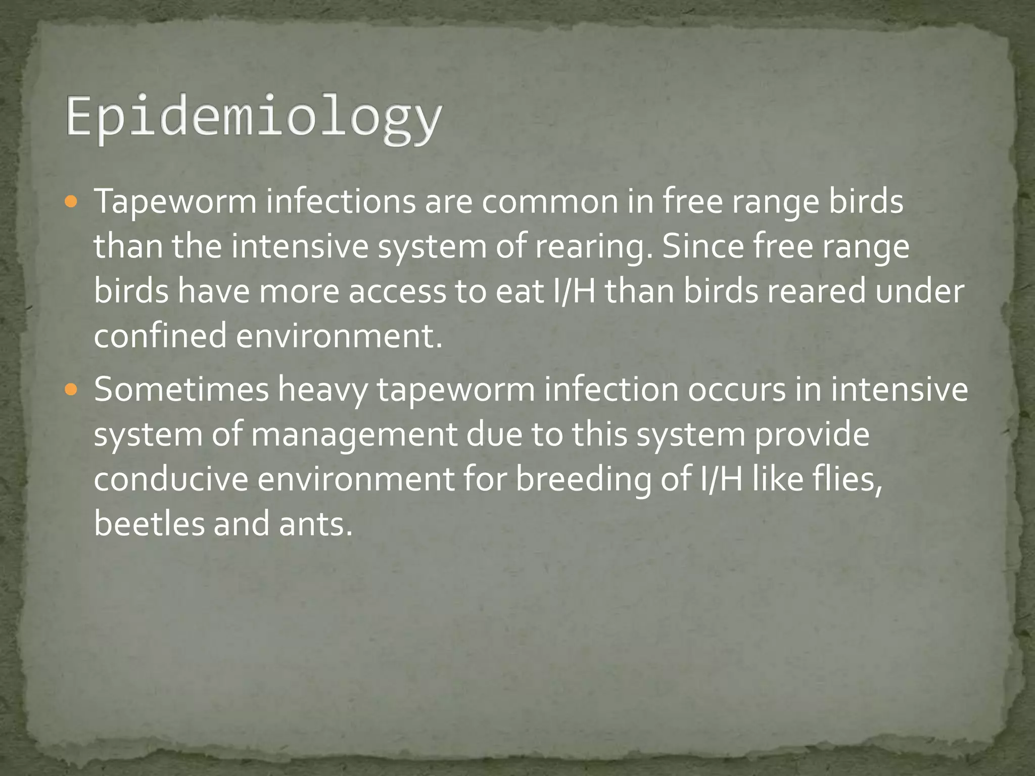 Tape worm of poultry | PPTX