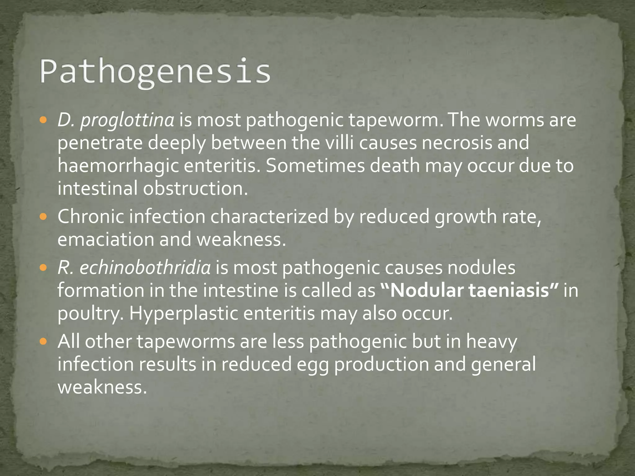 Tape worm of poultry | PPTX