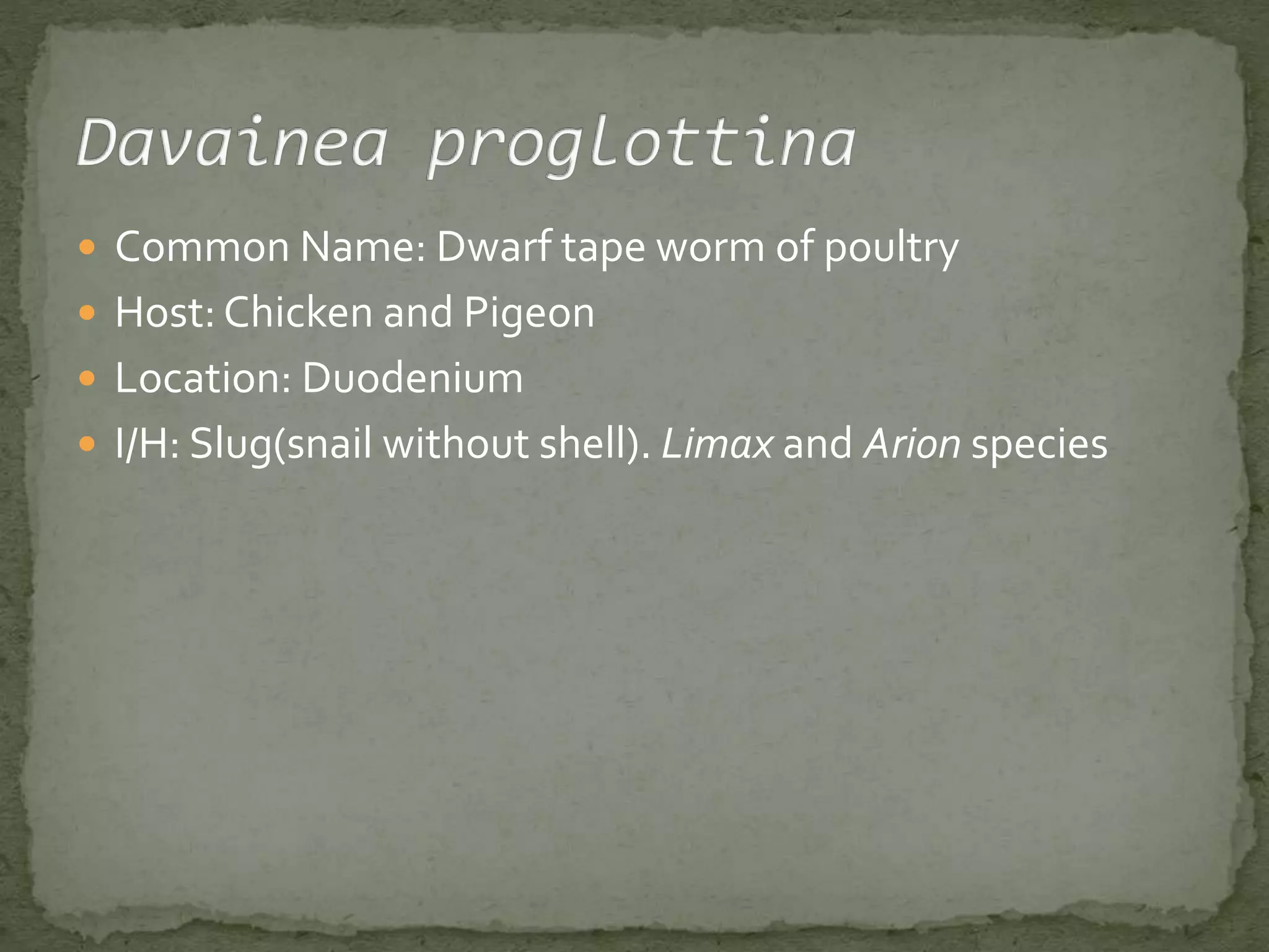 Tape worm of poultry | PPTX