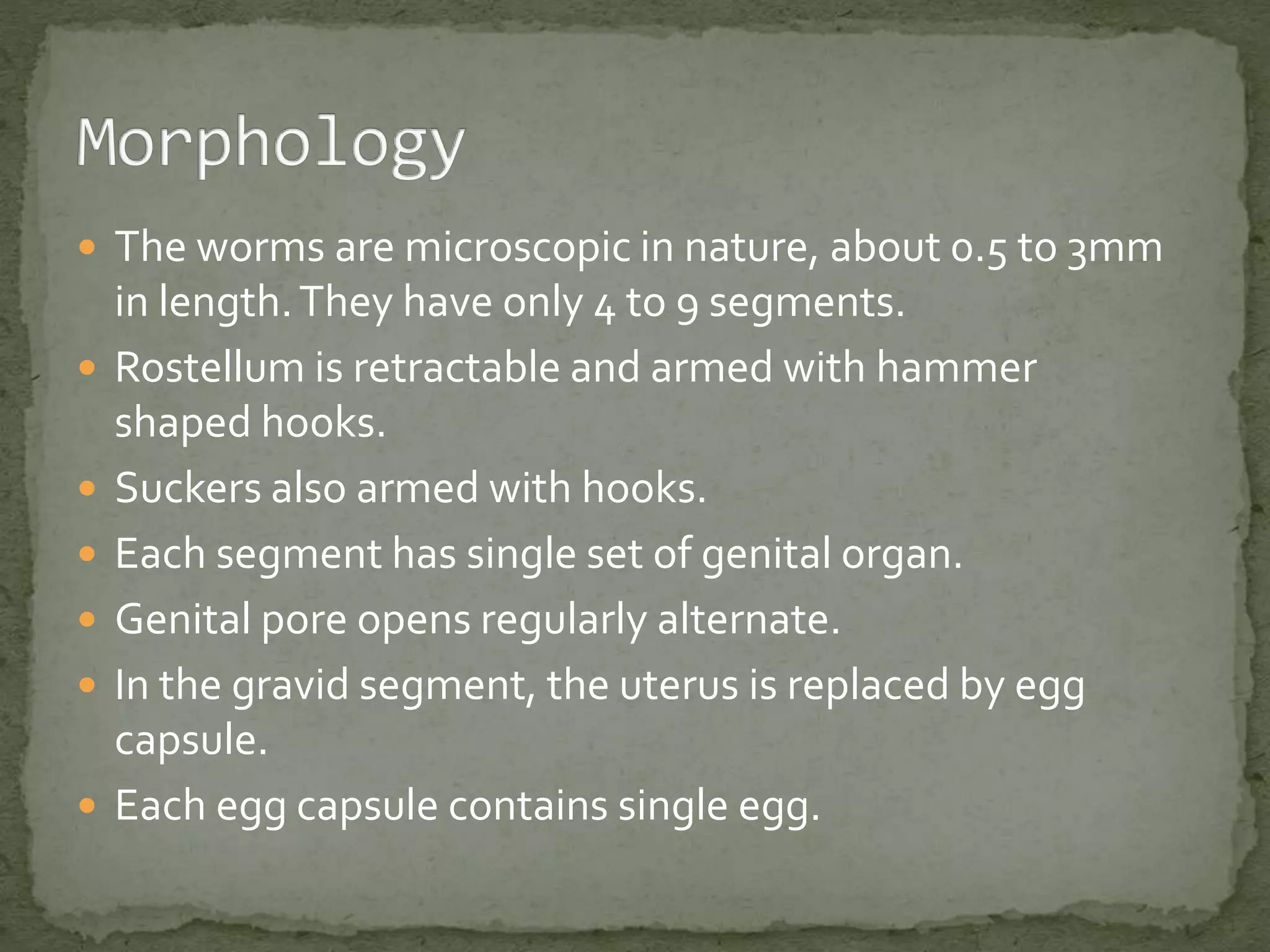 Tape worm of poultry | PPTX