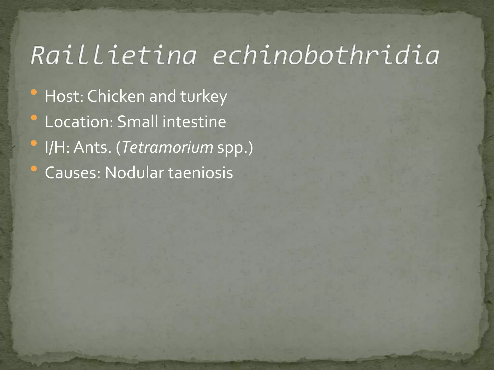 Tape worm of poultry | PPTX