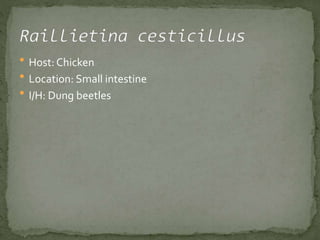 Tape worm of poultry | PPTX