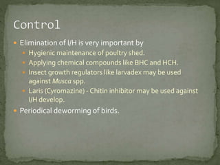 Tape worm of poultry | PPTX