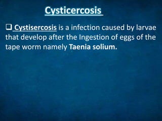 TAPEWORM cestote parasite. Complete presentation | PPT