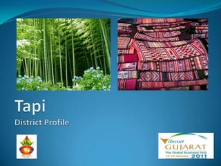Tapi - District Profile | PDF