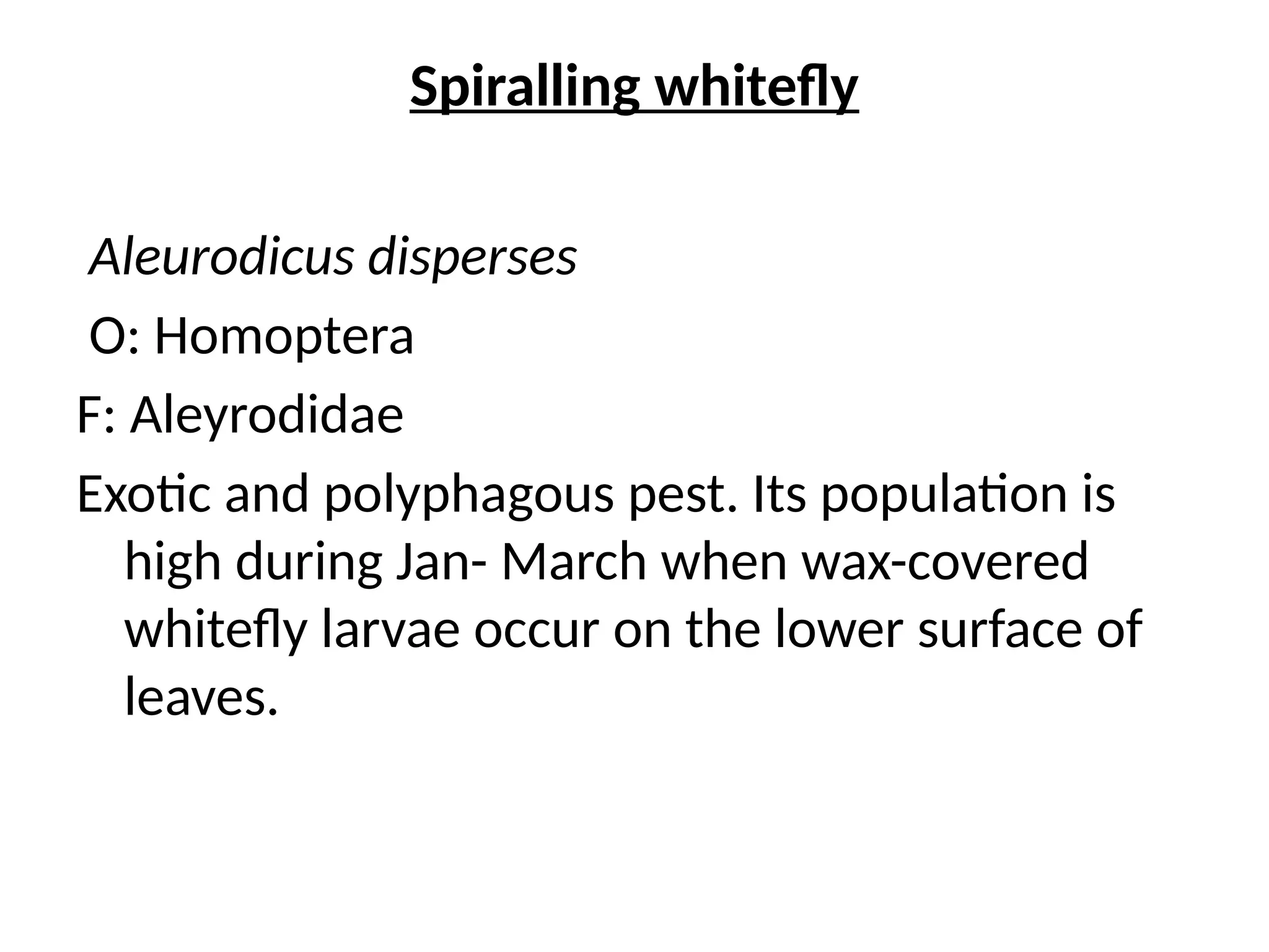 tapioca pests symptoms, cause and management | PPTX