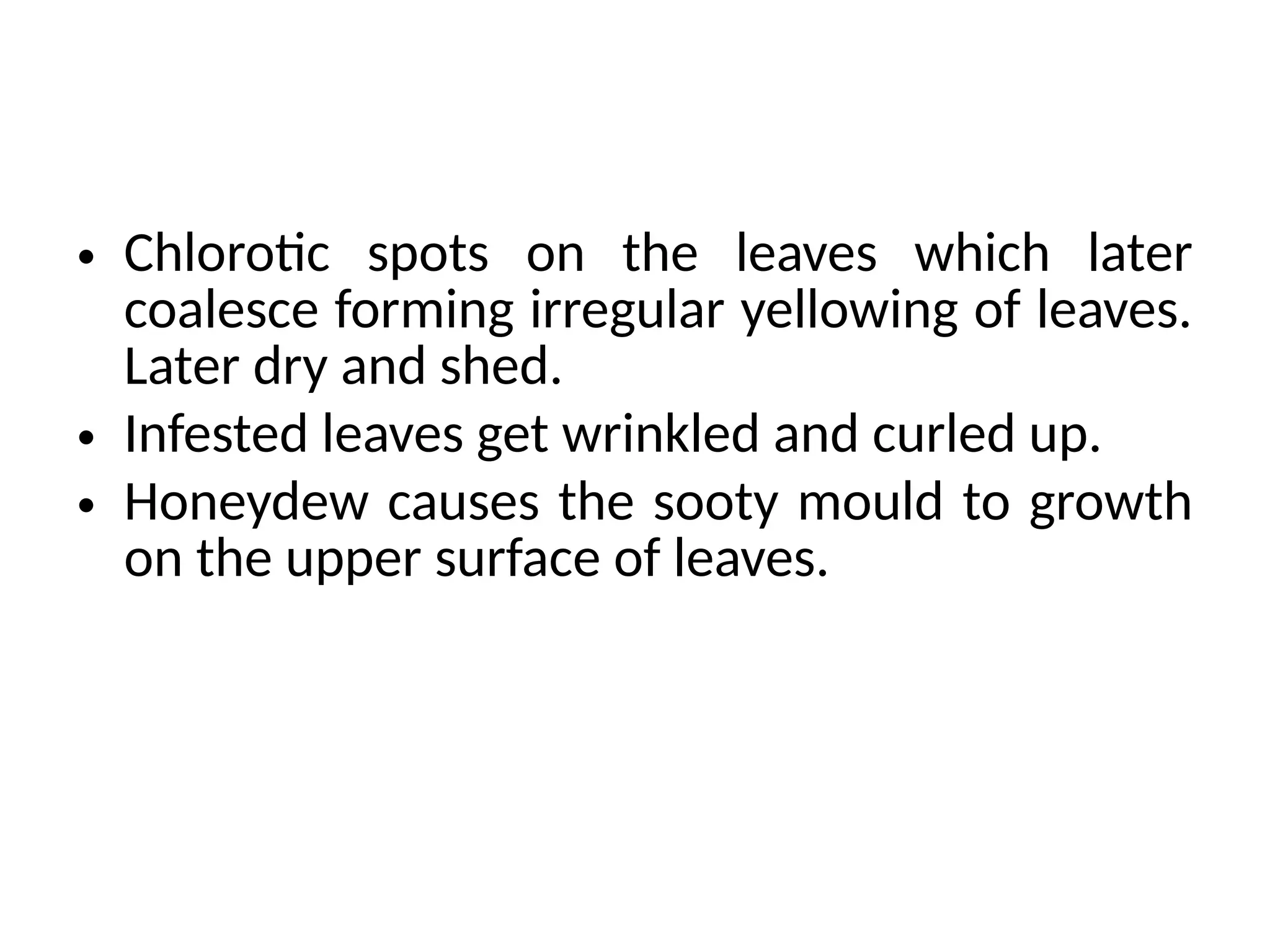 tapioca pests symptoms, cause and management | PPTX