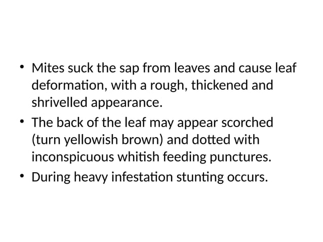 tapioca pests symptoms, cause and management | PPTX