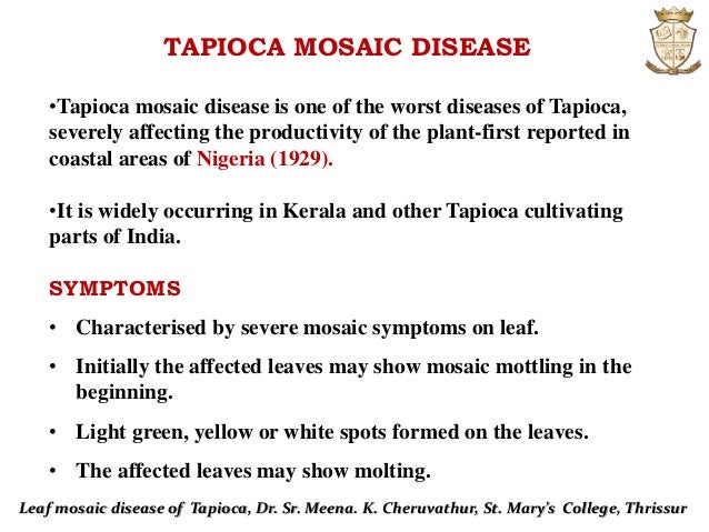 Tapioca Mosaic Disease