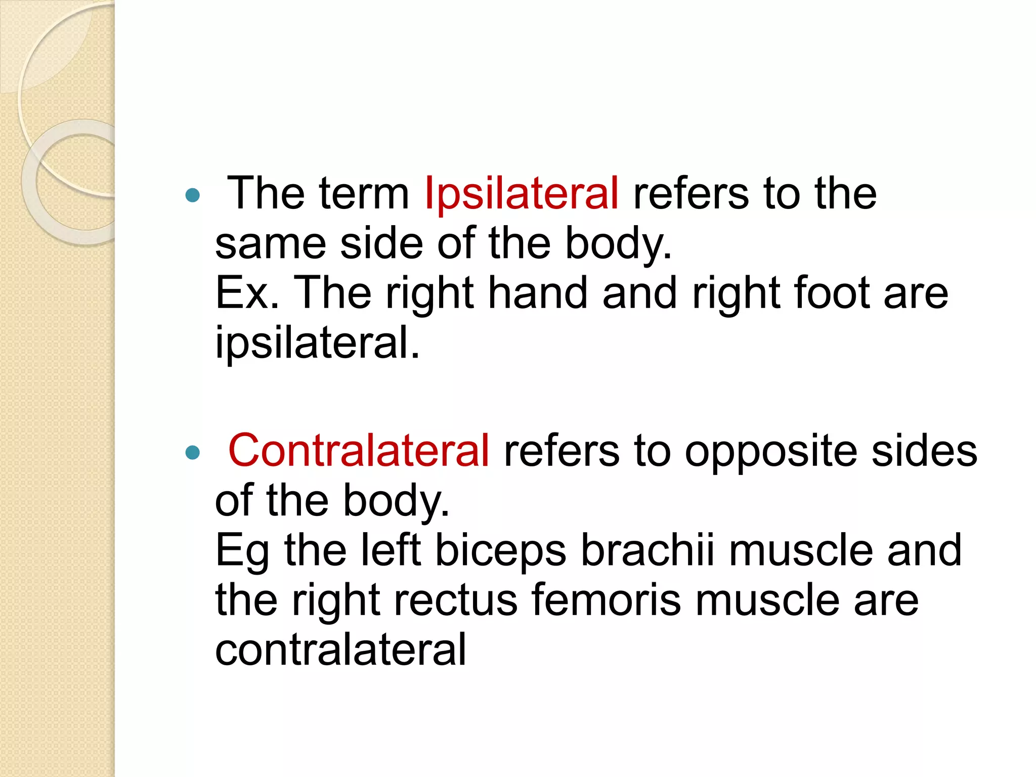 Anatomy lab. 1 general anatomy | PPTX