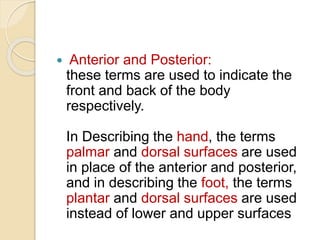 Anatomy lab. 1 general anatomy | PPTX