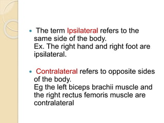 Anatomy lab. 1 general anatomy | PPTX