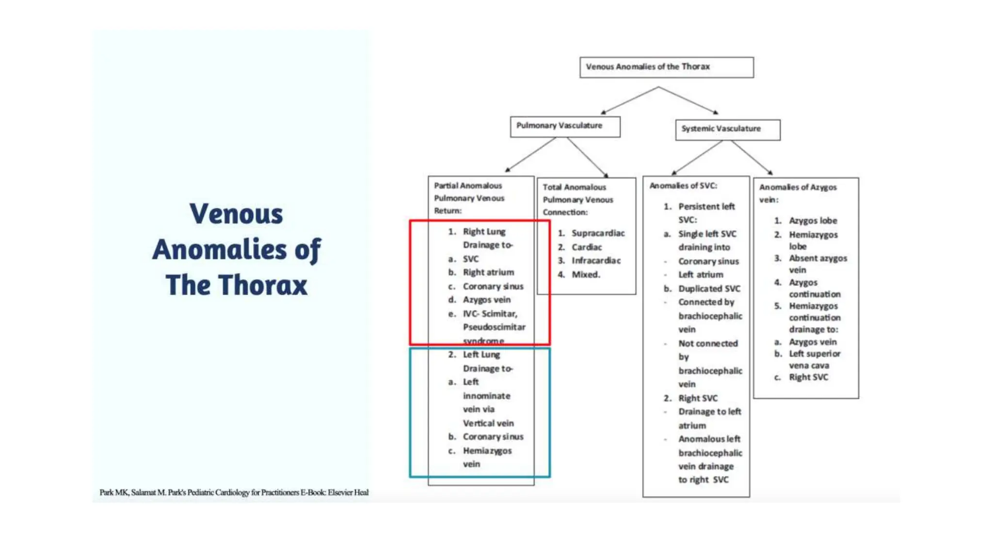 TAPVD ASD slide presentation echo pediatri.pptx