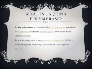 Taq dna polymerase - enzyme used in PCR amplification technology | PPTX