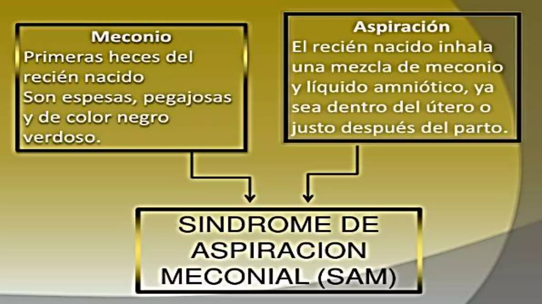 Taquipnea transitoria-del-recien-nacido - Pediatria | PPT