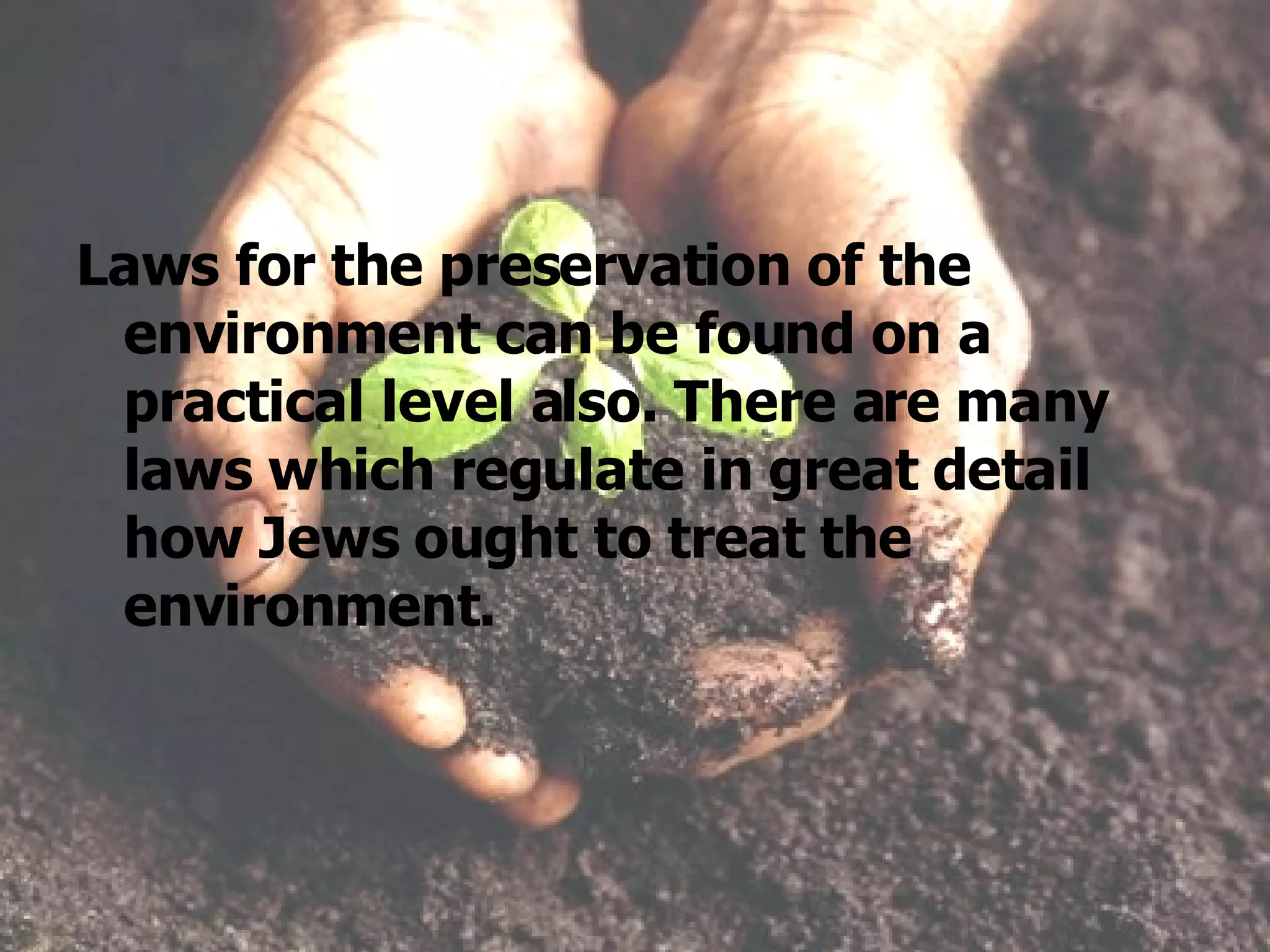 Tara and Rachel present Jewish Environmental Ethics | PPT