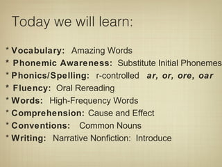 Tara and tiree day 1 | PPT