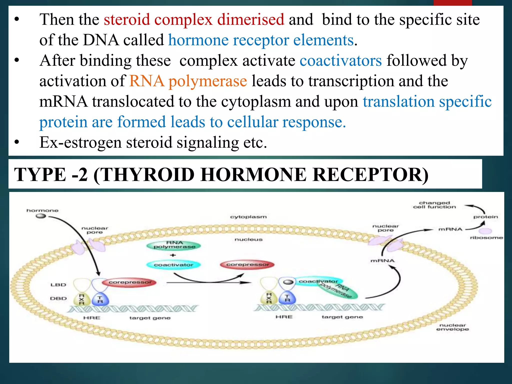 steriod hormone signaling | PPTX