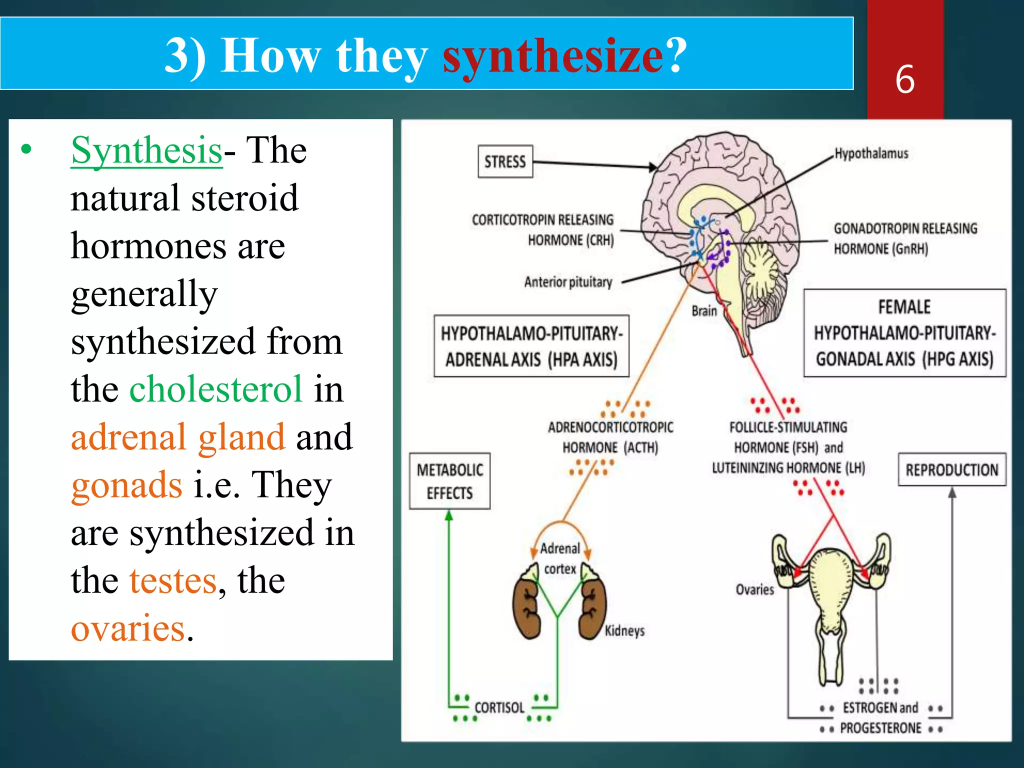 steriod hormone signaling | PPTX
