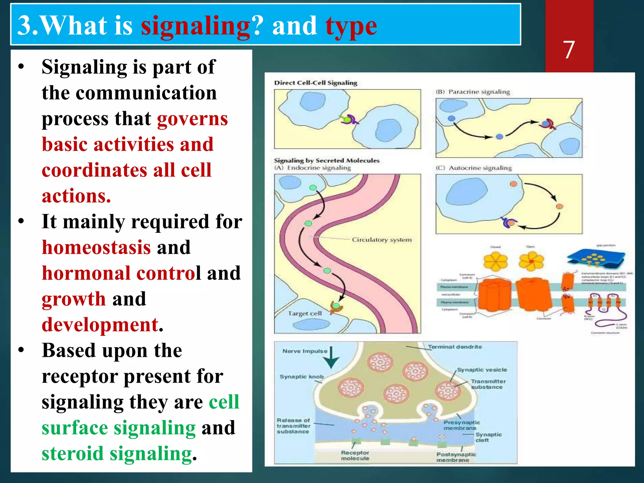 steriod hormone signaling | PPTX