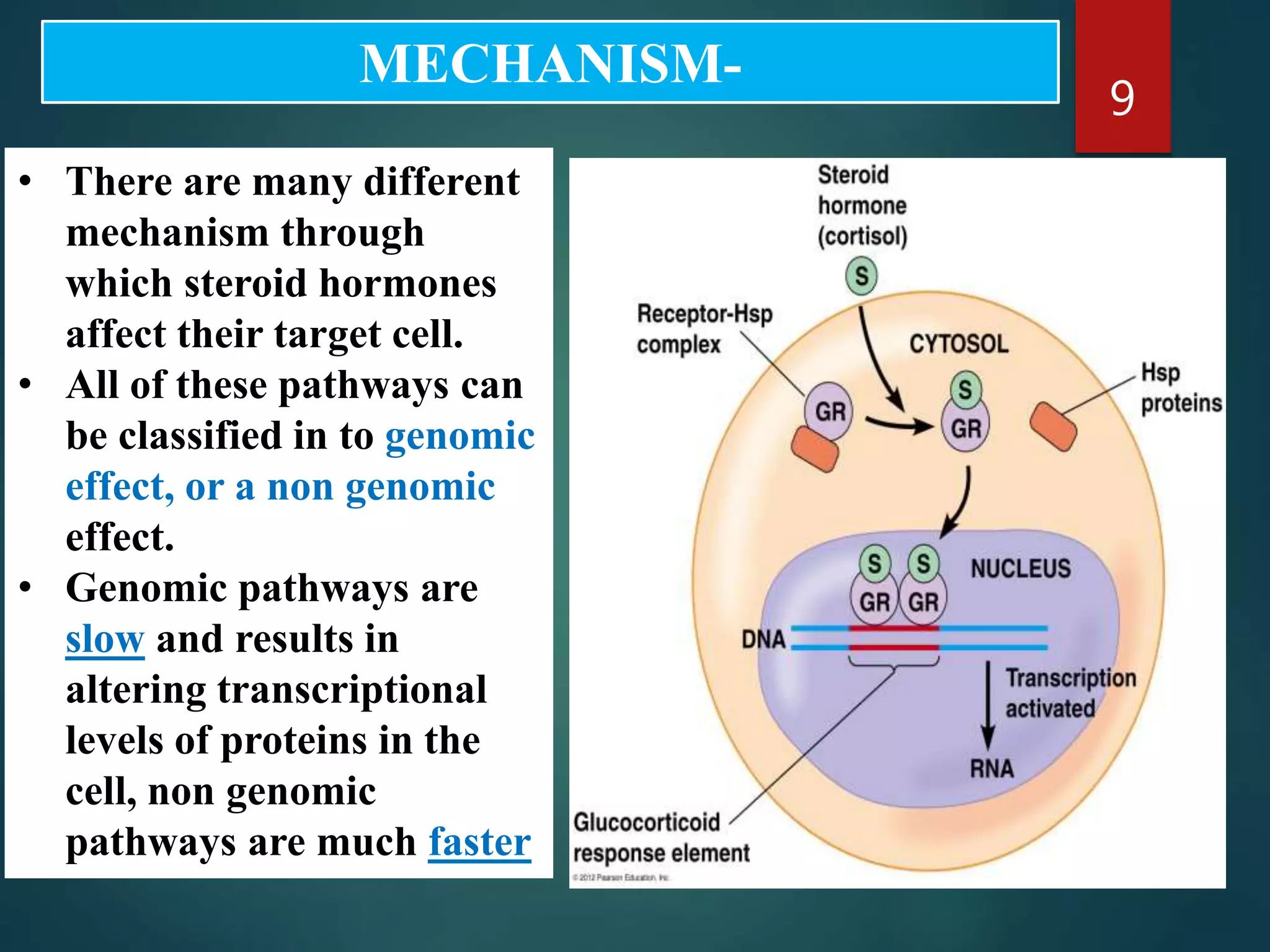 steriod hormone signaling | PPTX
