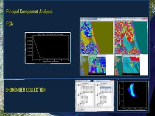 Taramelli_al_IGARSS_2011.pptx