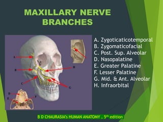 trigeminal neuralgia and its dental considerations | PPTX