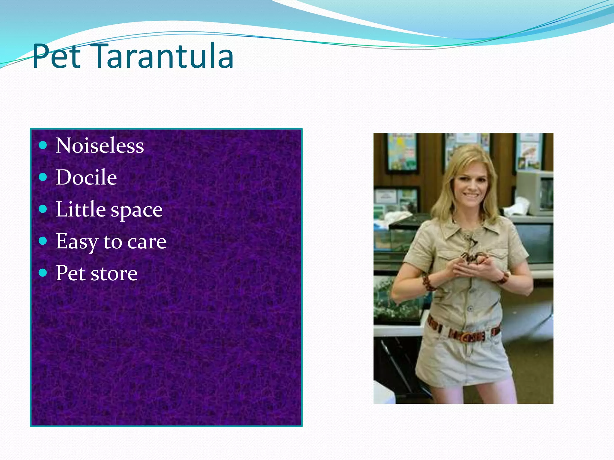 Tarantula group 1 | PPT