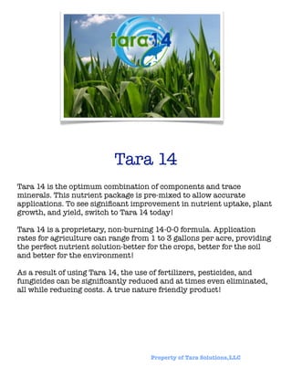 Tara Solutions Brochure 6 12 Copy (2) | PDF