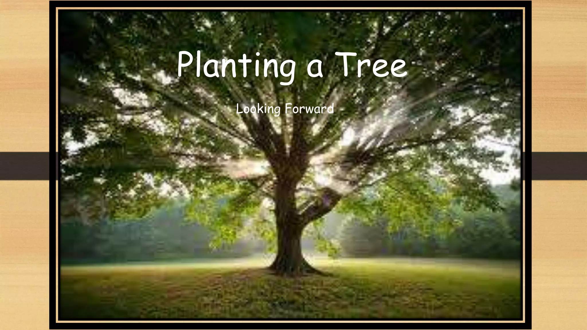 Planting a Tree | PPT