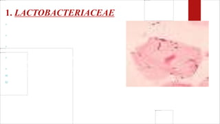 Microbes in dairy industries and it's types of micro organisms in milk ...