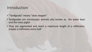 Tardigrade | PPTX