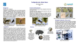 Tardigrade Poster | PPT