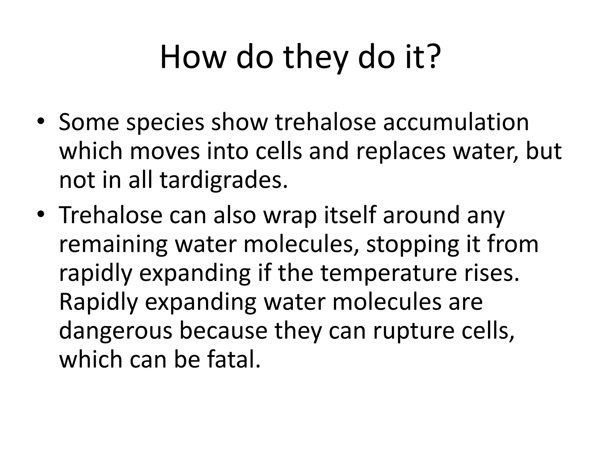 Tardigrades : The water bear | PPTX