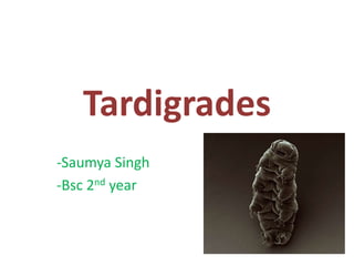 Tardigrades : The water bear | PPTX