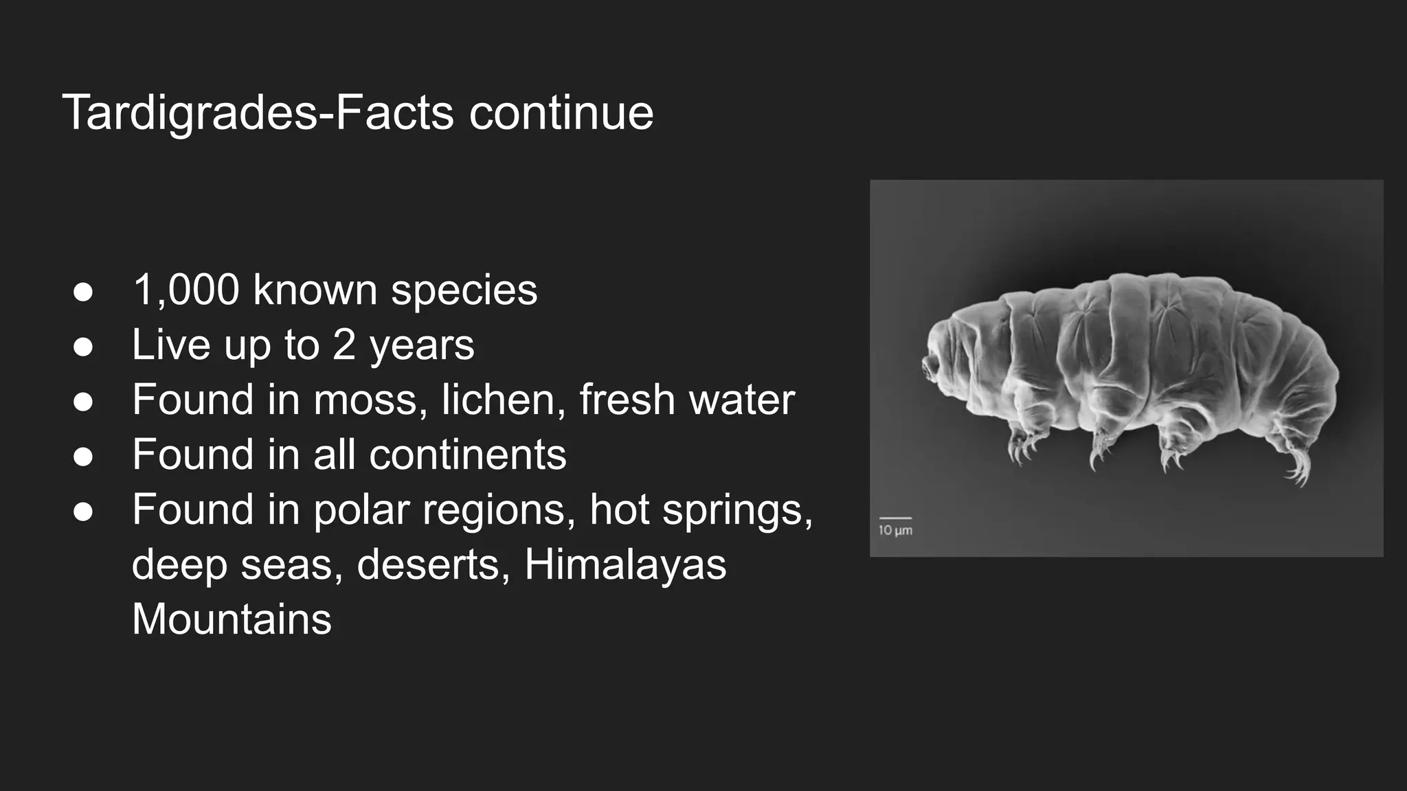 Tardigrades.pdf | Geography | Science