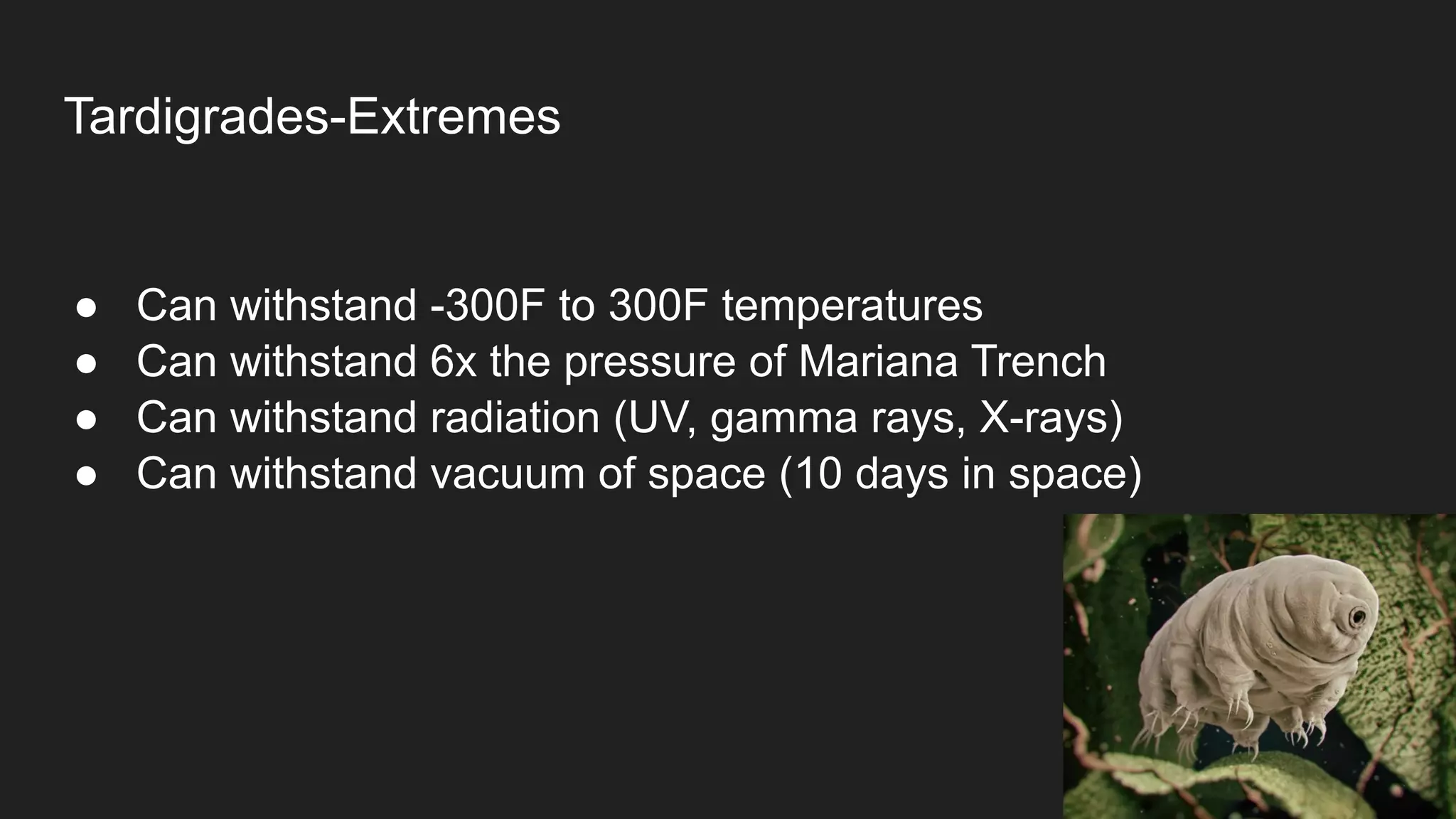 Tardigrades.pdf | Geography | Science