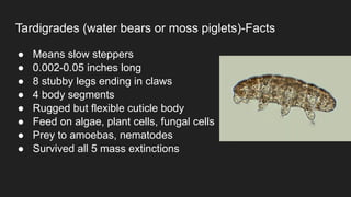 Tardigrades.pdf | Geography | Science