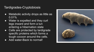 Tardigrades.pdf | Geography | Science