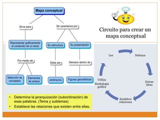 Mapa Conceptual | PPTX