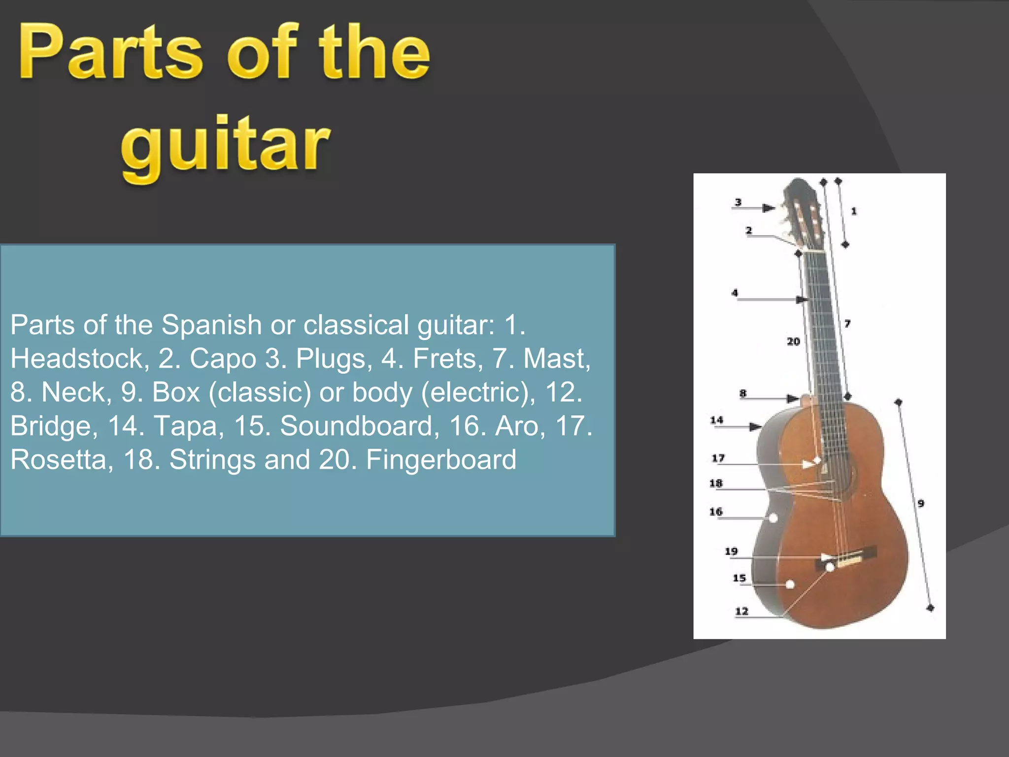 The guitar | PPT