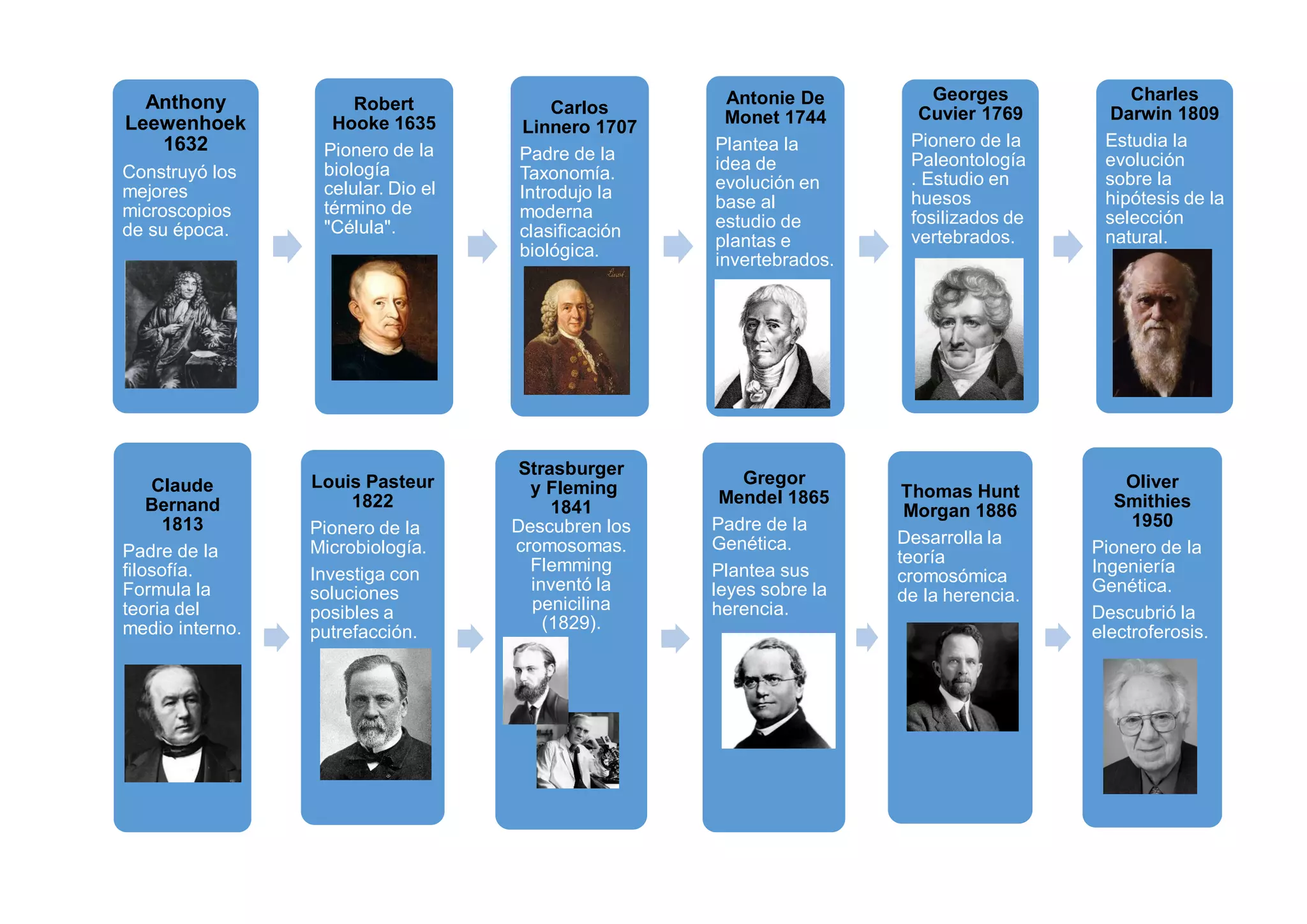 Línea de tiempo de la historia de la biología | PDF