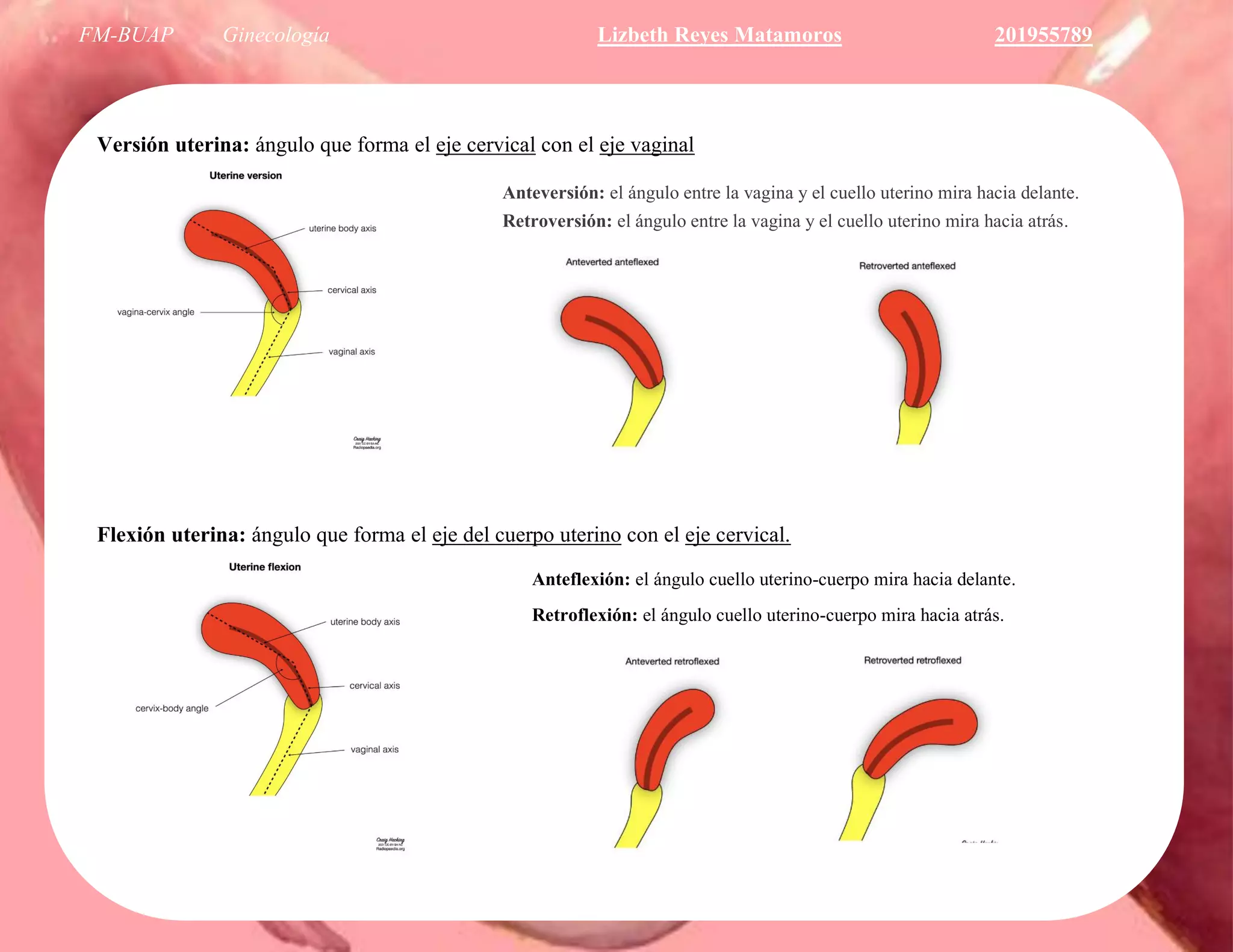 exploración física utero | PDF