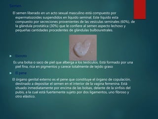 Tarea 10 biologia aparato reproductor | PPTX