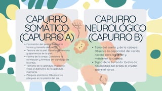 Test de capurro Test de capurro Test de capurro Test de capurro Test de ...