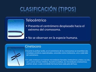 MECANISMOS CELULARES DE LA HERENCIA | PPTX