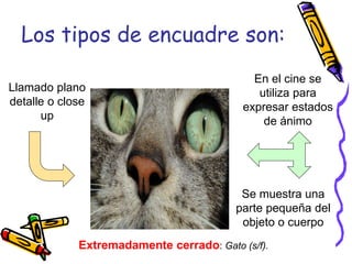 Composición de una imagen | PPTX