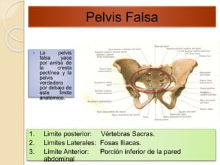 Tarea25 valoración obstétrica | PPTX
